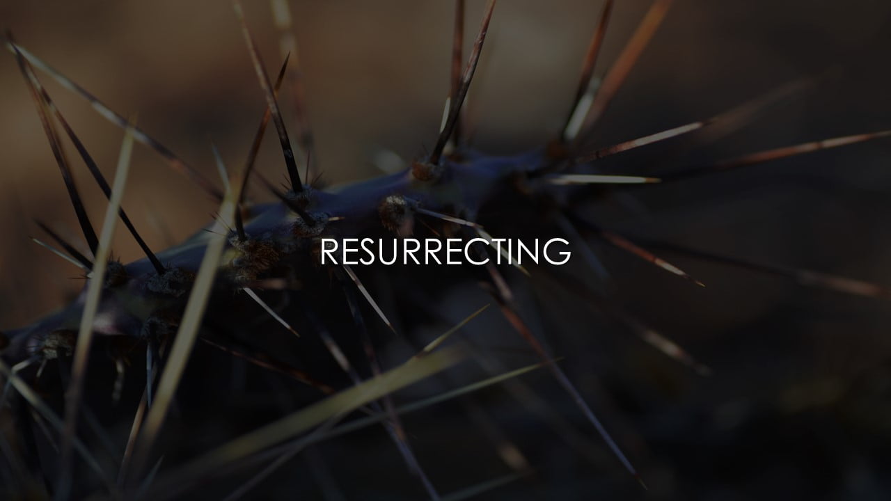 Resurrecting (Elevation)